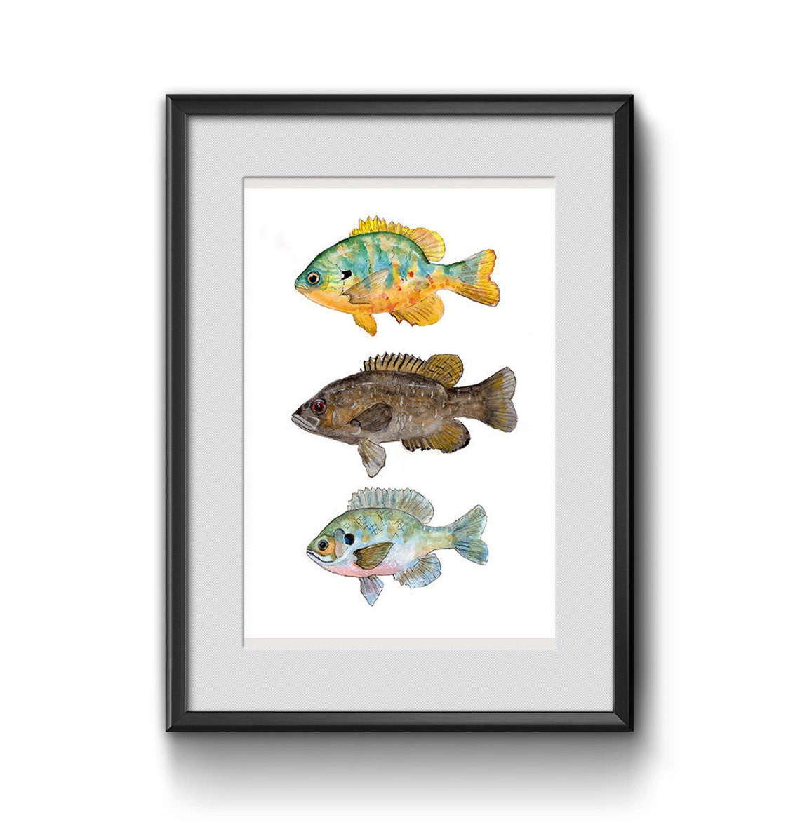 Fish Art Print Contemporary Bright Colored Fresh Water Fish | Etsy