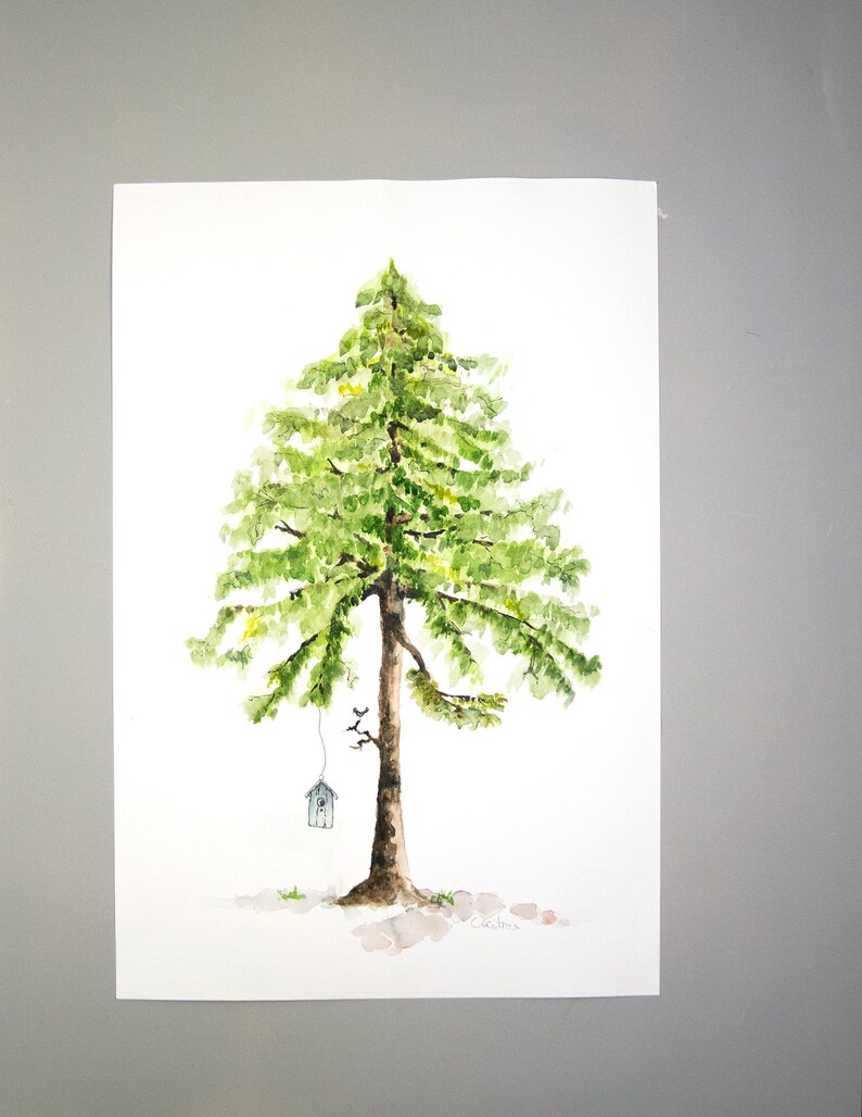 Tree Art Watercolor Evergreen Tree Print Spruce Tree - Etsy