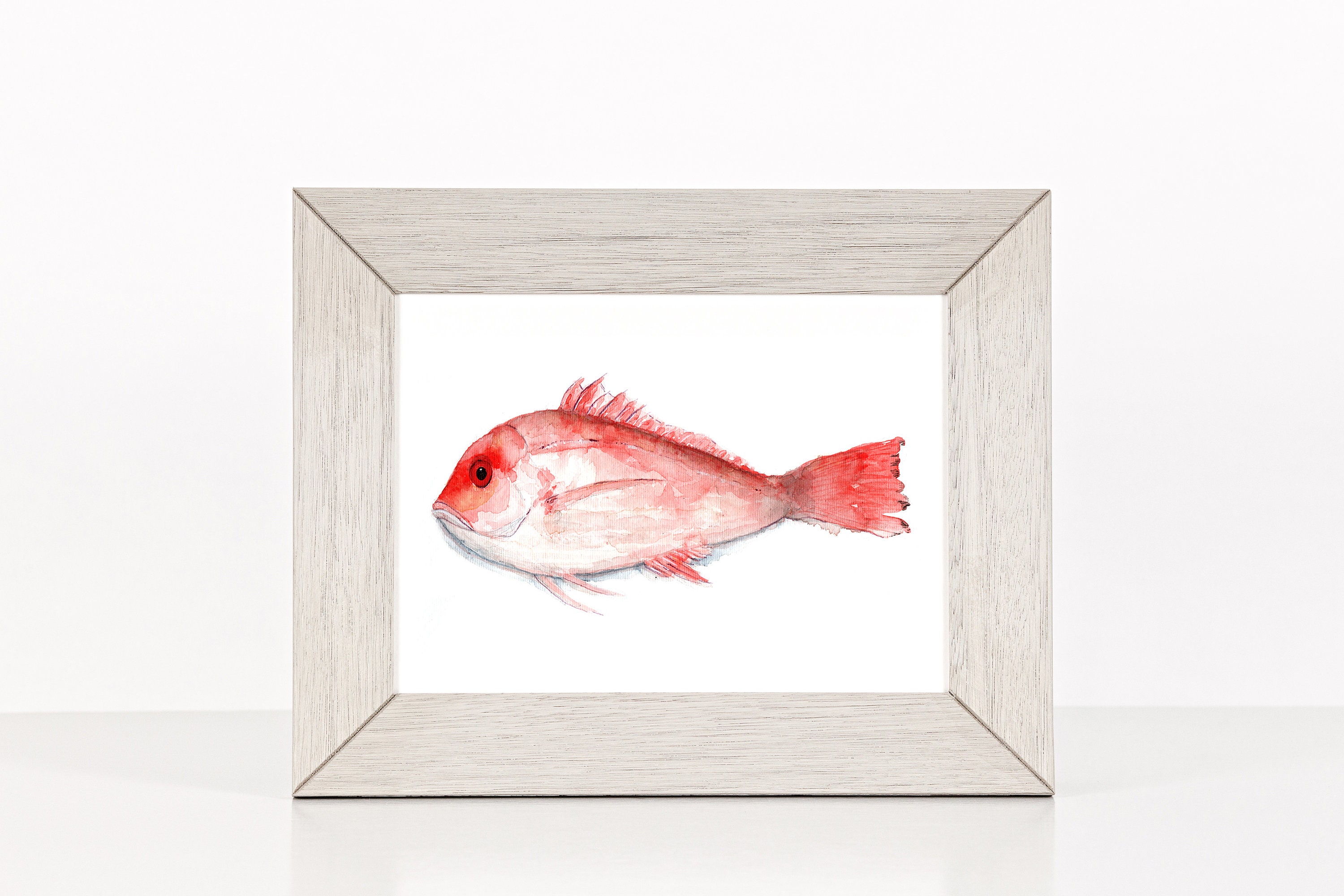 Red Snapper Fish Art Print From Original Watercolor Painting | Etsy