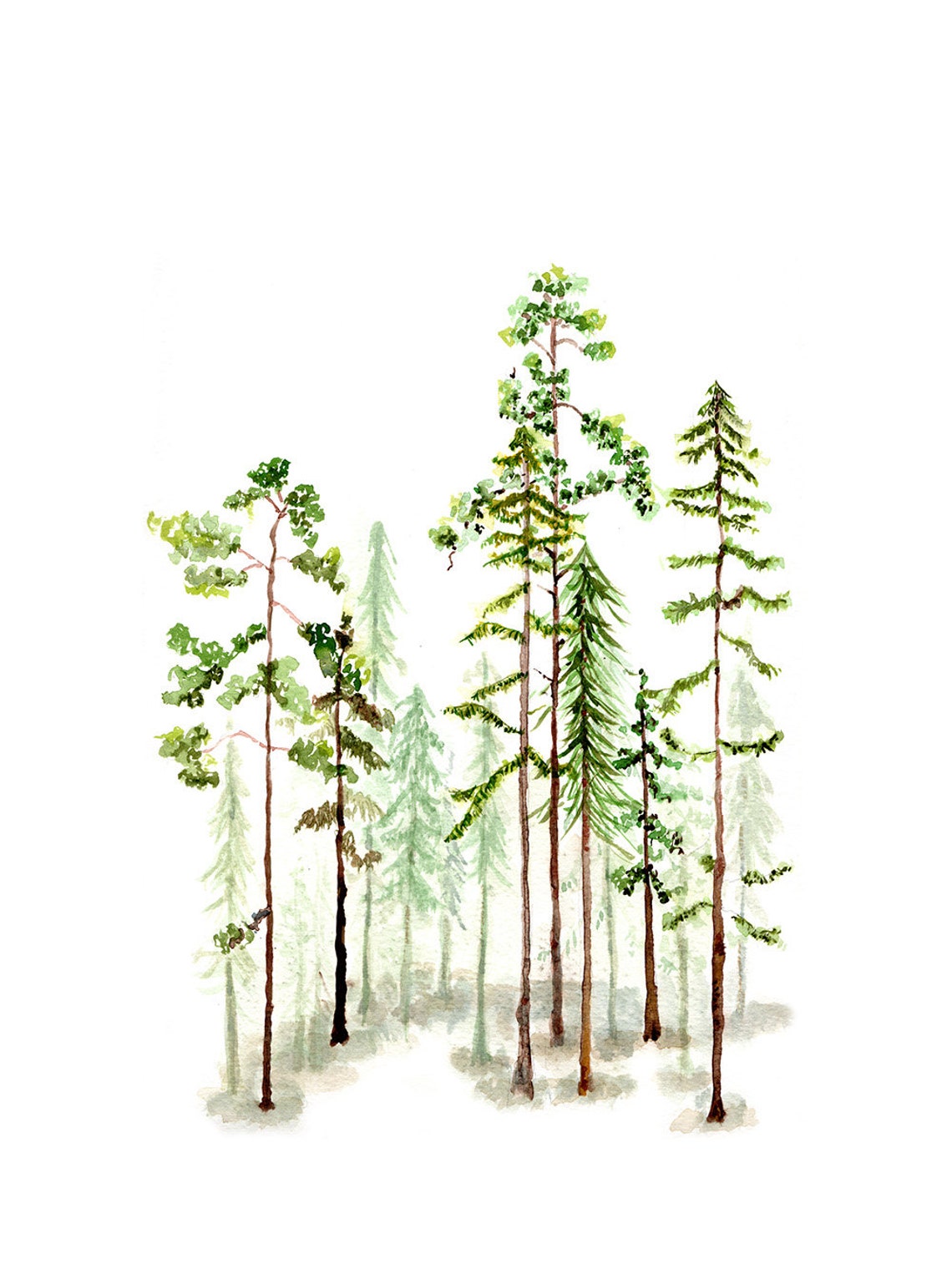 Watercolor Pine Tree Print Fir Tree Artwork Spruce Tree Pine | Etsy