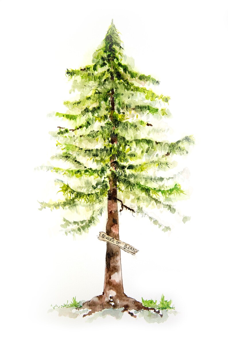 Evergreen Print Watercolor Tree Art Pine Tree Watercolor - Etsy