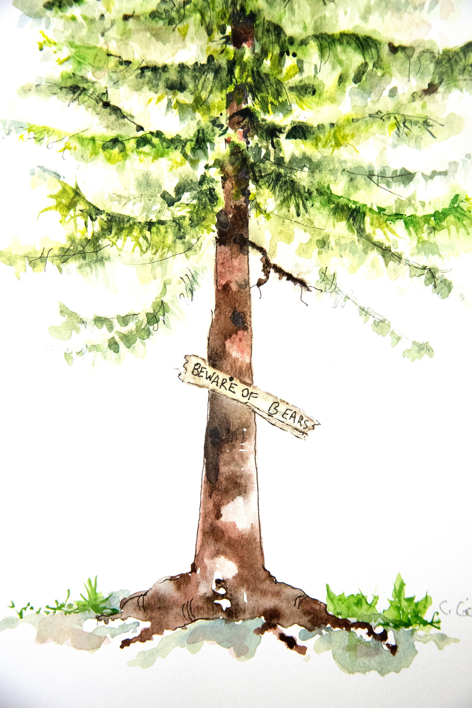 Evergreen Print Watercolor Tree Art Pine Tree Watercolor - Etsy
