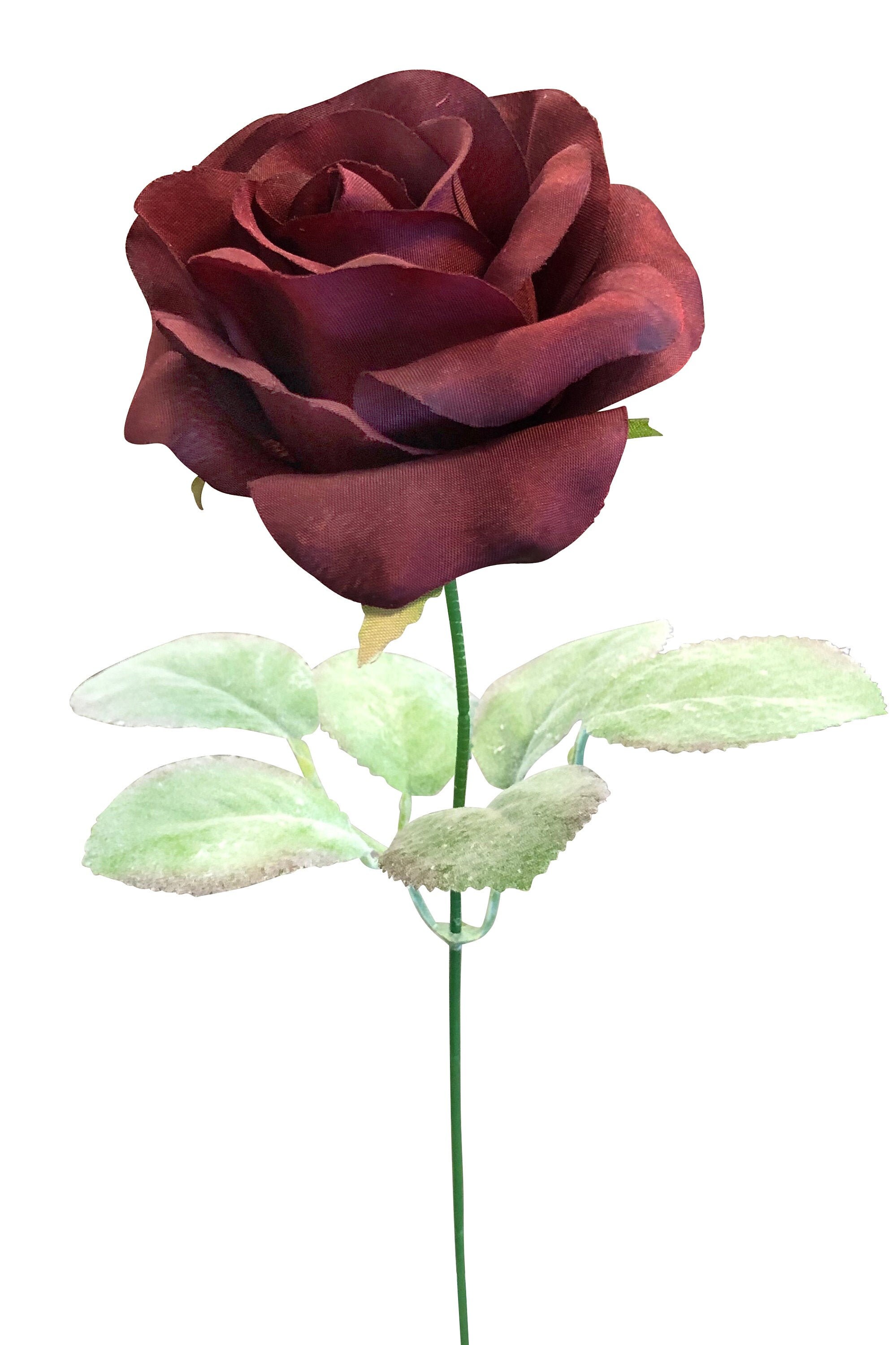 Single Burgundy Rose