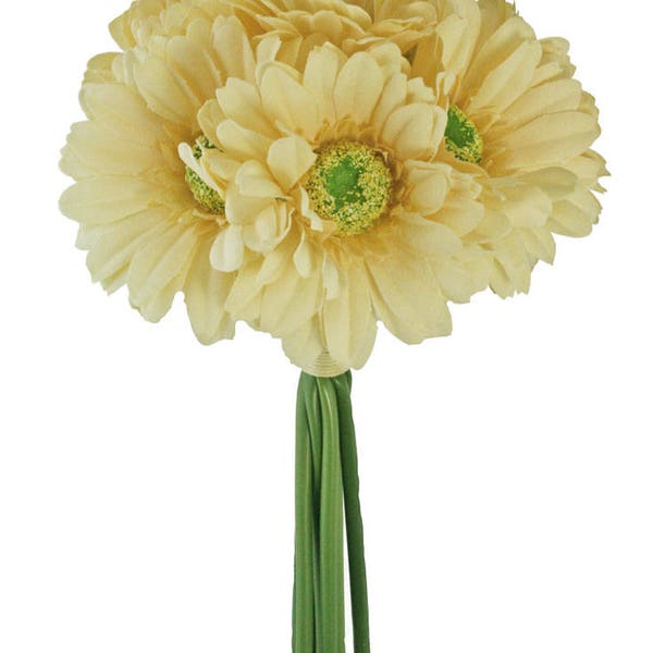 Gerber Daisy Bouquet - Etsy