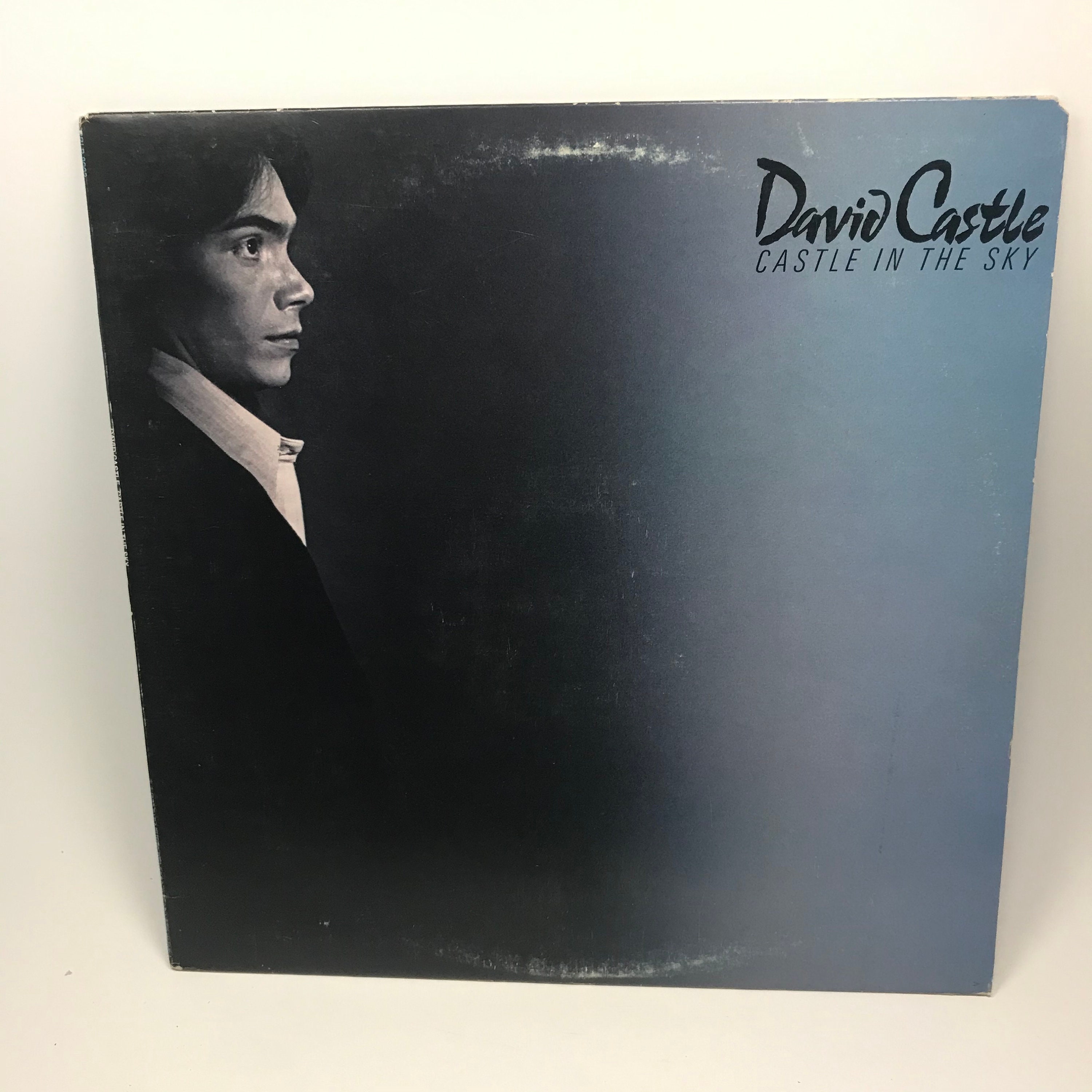 Vintage Vinyl Record David Castle: Castle in the Sky Album | Etsy