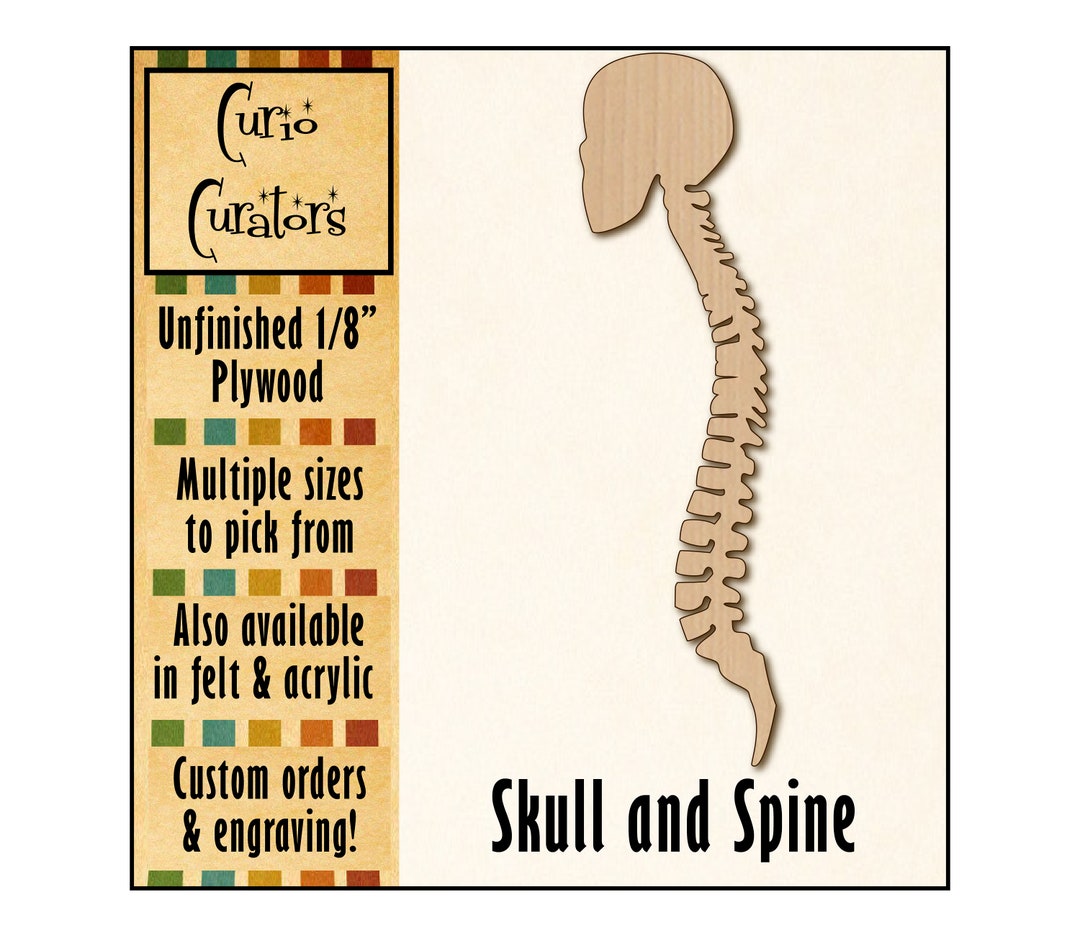 Body Parts & Organs Shapes: SKULL With SPINE Laser Cut Unfinished Wood ...