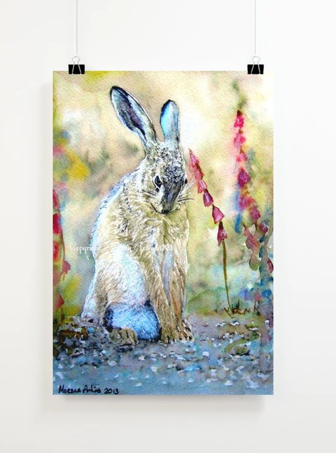 Hare Print Canvas Different Sizes Shy Hare Morena Artina Fine Art Hare ...