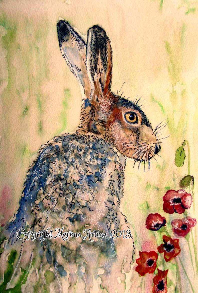 Hare Print Hare and Poppies - Etsy