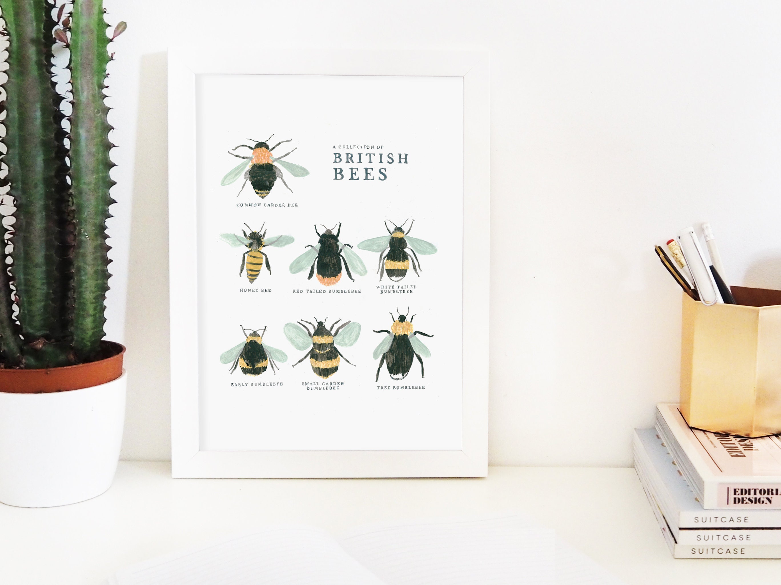 Collection of British Bees Print A4 A3 | Etsy
