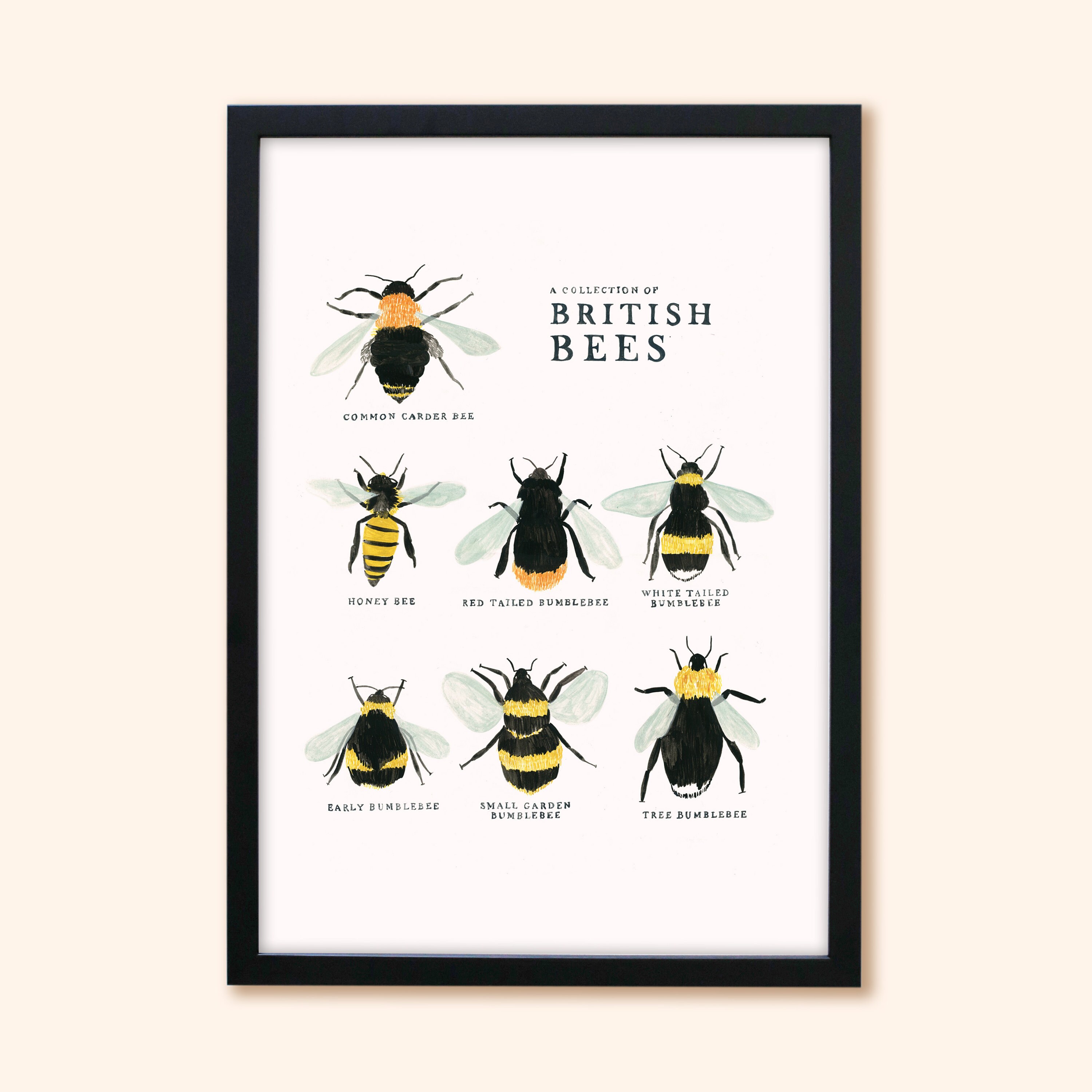 Collection of British Bees Print A4 A3 | Etsy
