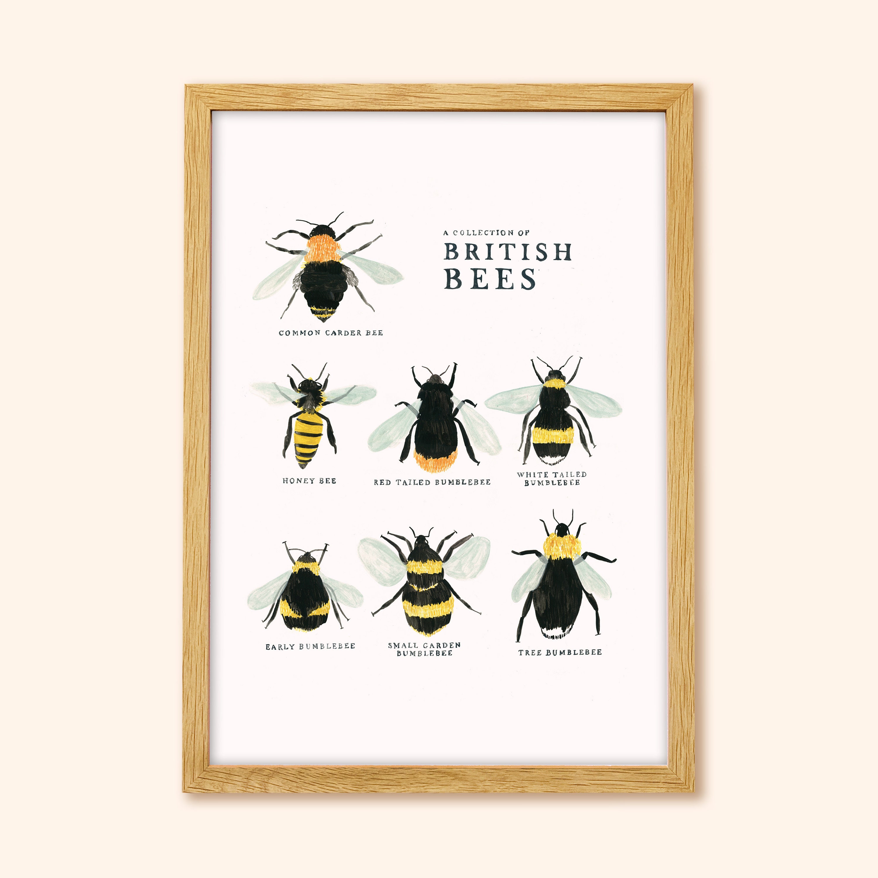 Collection of British Bees Print A4 A3 | Etsy