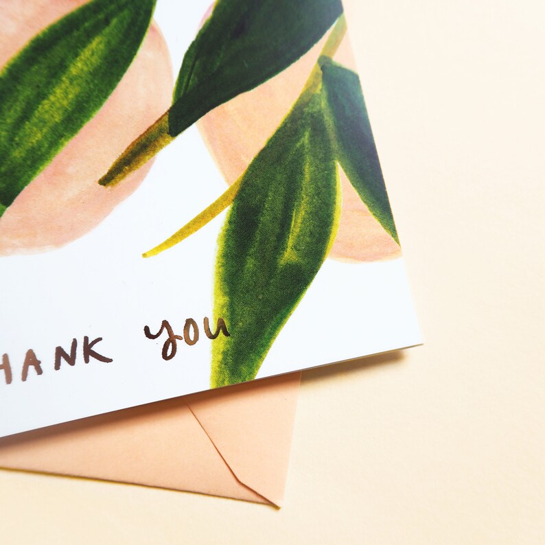 Thank You Illustrated Peach Card - Etsy