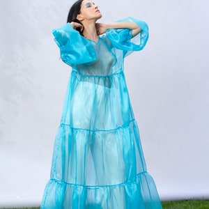 Organza Dress, See Through Dress, Festival Clothing, Transparent Dress ...