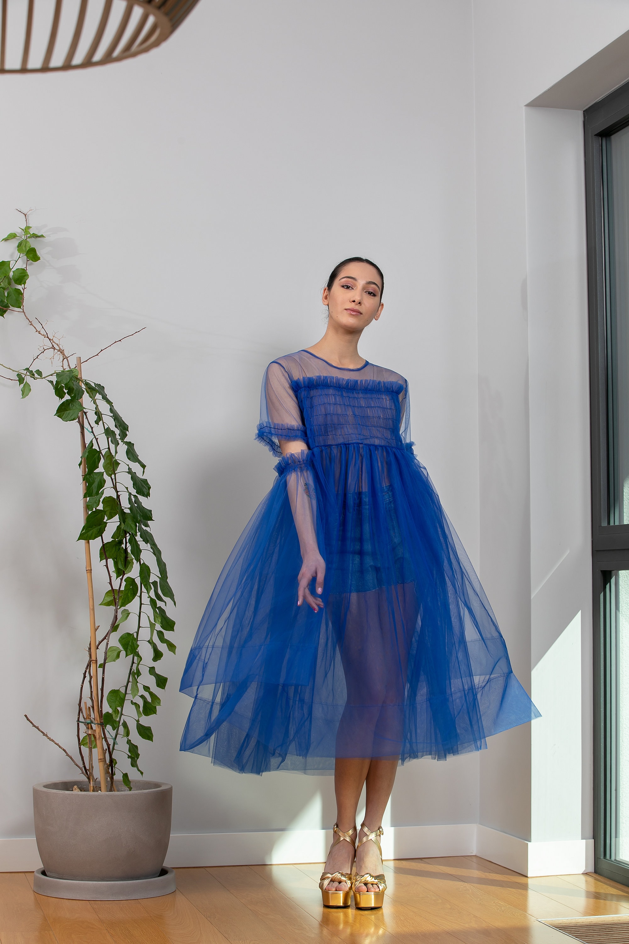 See Through Dress, Party Dress, Transparent Dress, Sheer Dress, Tulle ...