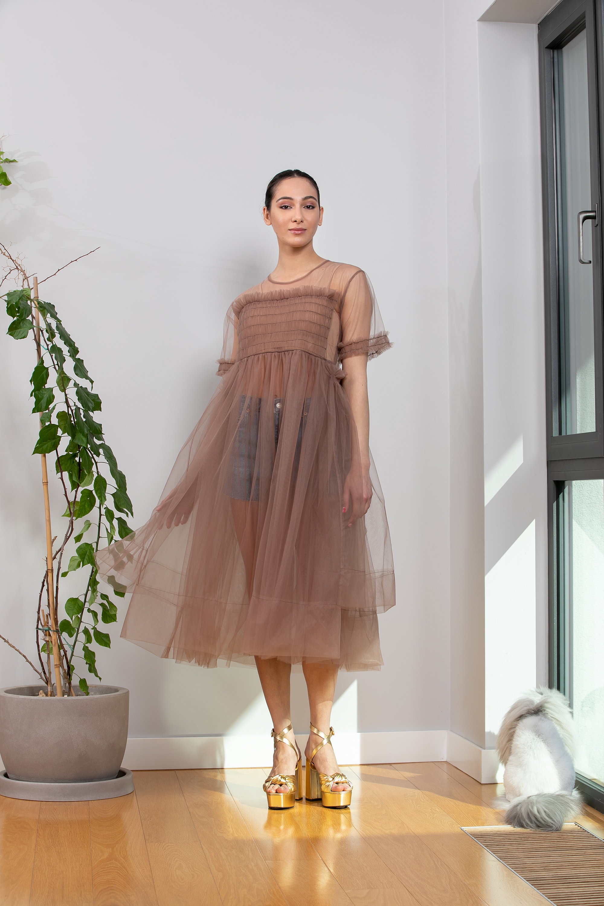 See Through Dress, Party Dress, Transparent Dress, Sheer Dress, Tulle ...
