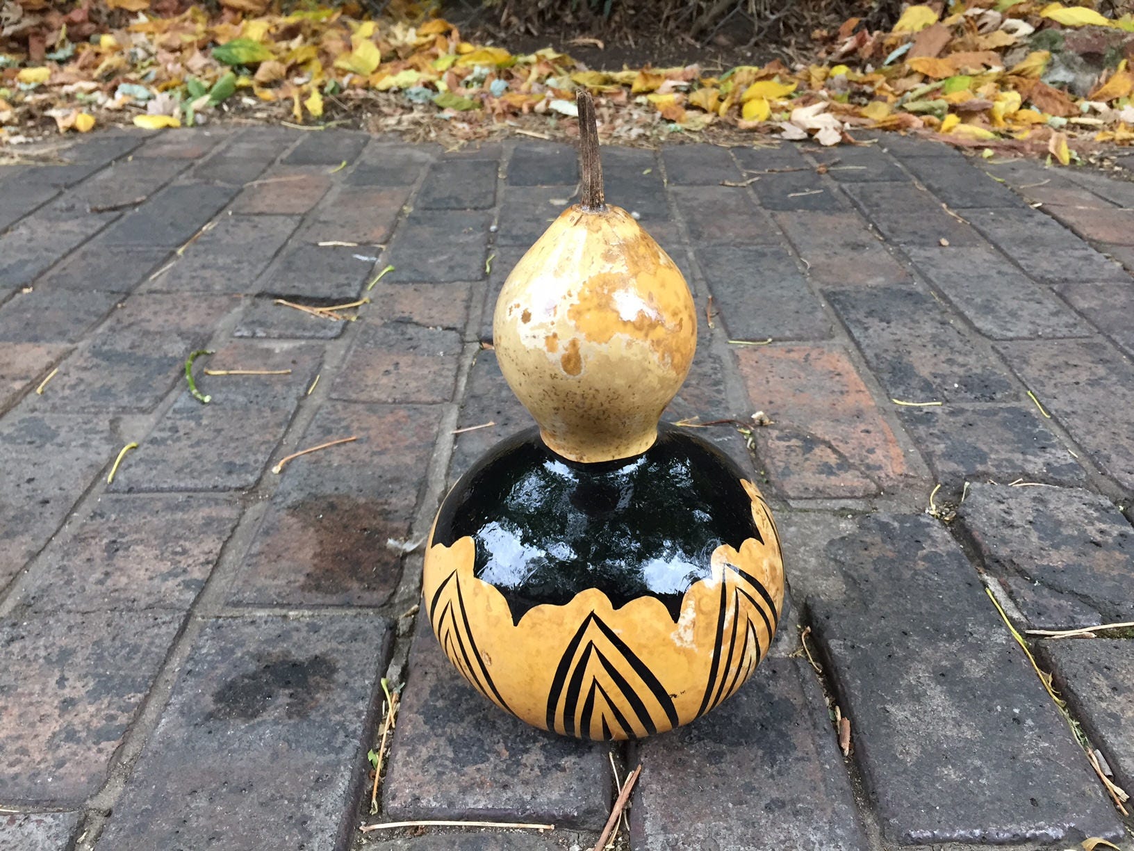 Dried Handpainted Gourd / Fall Decoration / Table Centerpiece / Hand ...