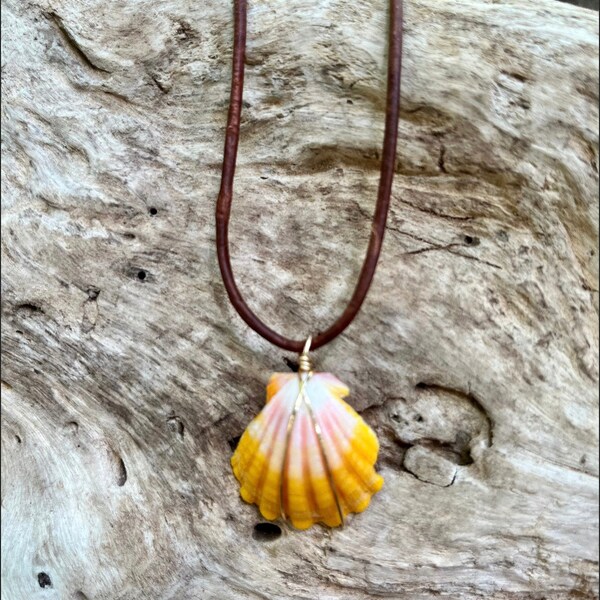 Sunrise Shell Necklace - Etsy