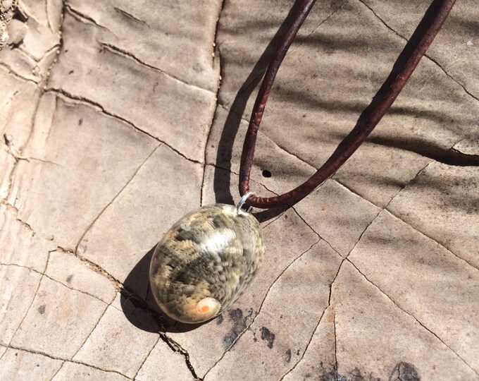 Hawaiian Kupe'e Shell Necklace - Etsy