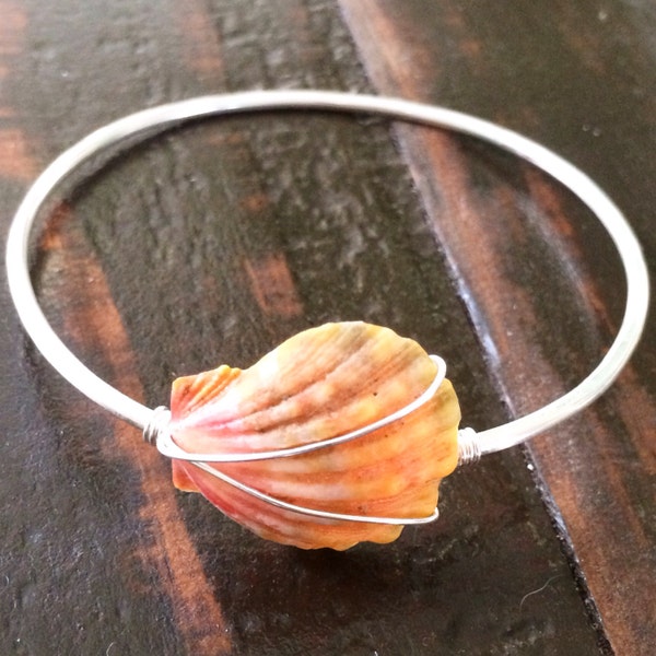 Sunrise Shell - Etsy