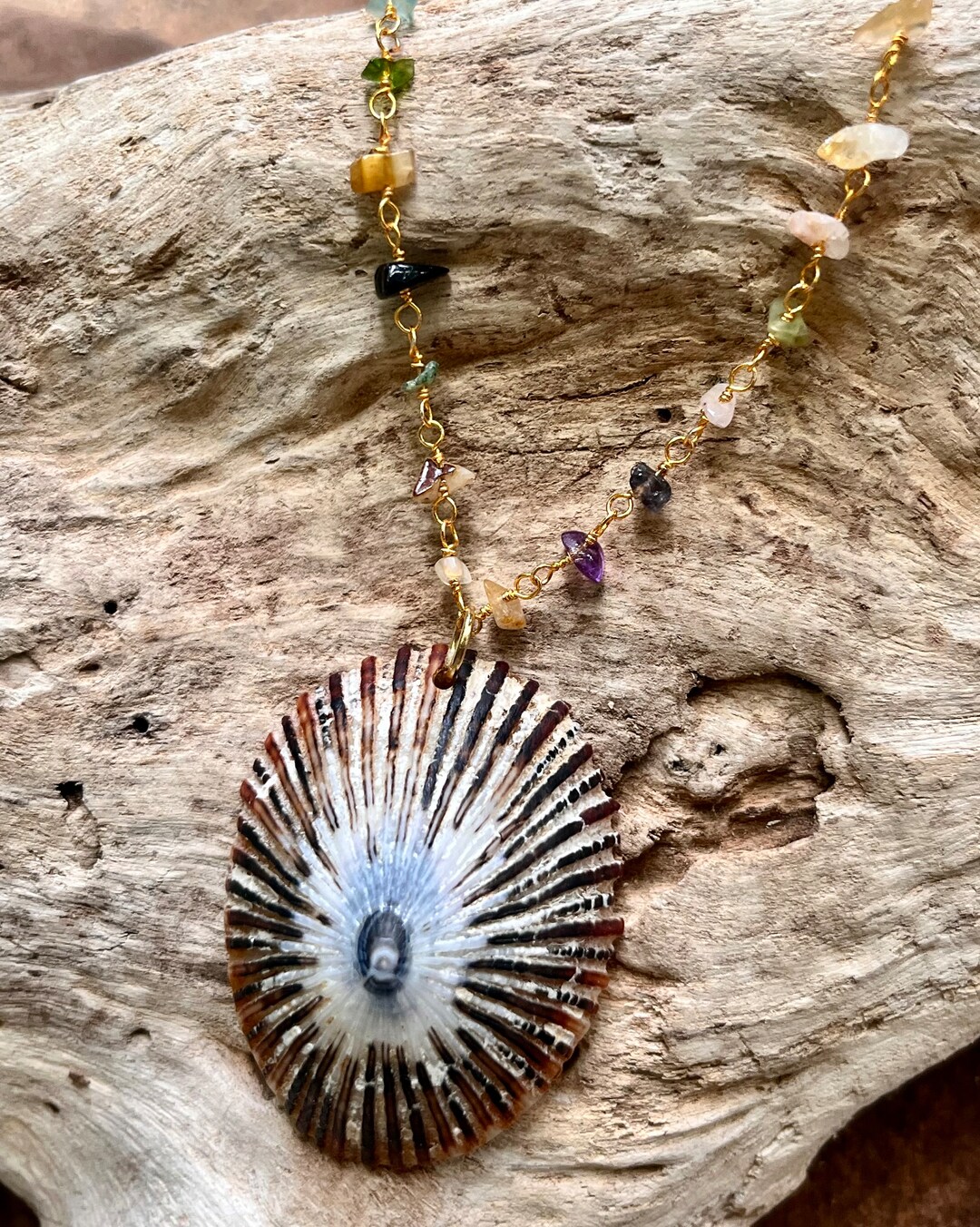 Hawaiian Opihi Shell Statement Necklace - Etsy