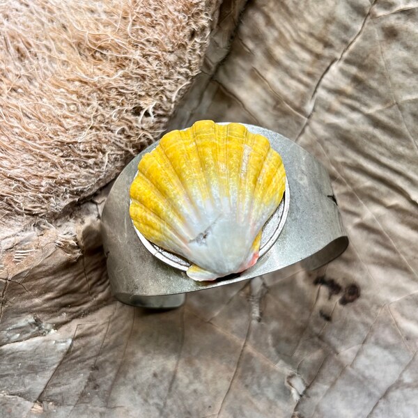 Sunrise Shell - Etsy