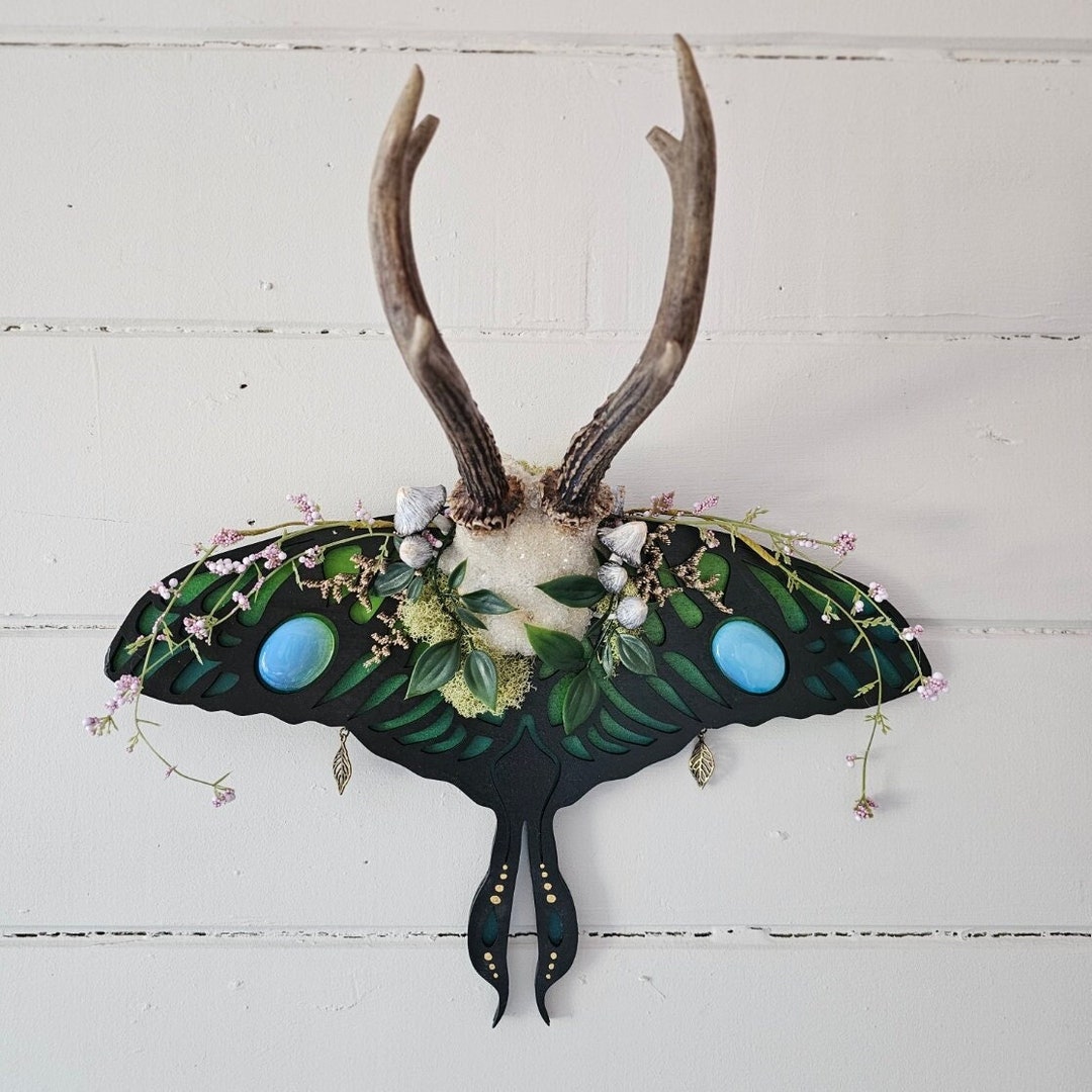 Roe Deer Antler on Lunar Moth Frame Crystalised With Gemstones ...