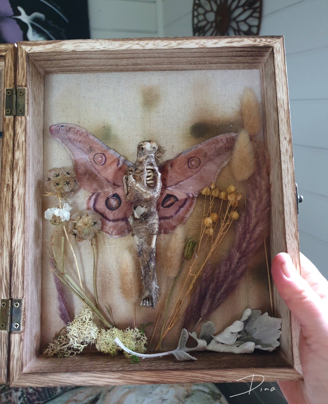 Mummified Fairy in Shadow Box With Silk Butterfly Wings Vegan - Etsy