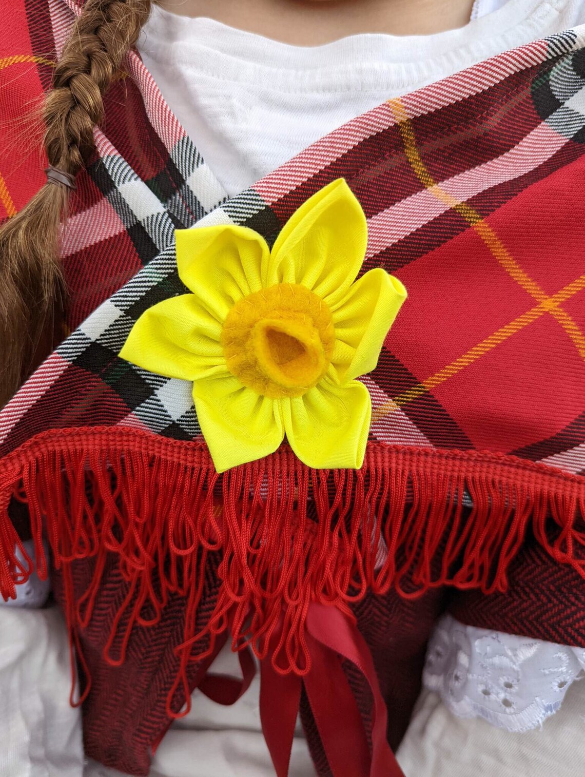 Traditional Style Welsh Lady Costume, St. David's Day - Etsy