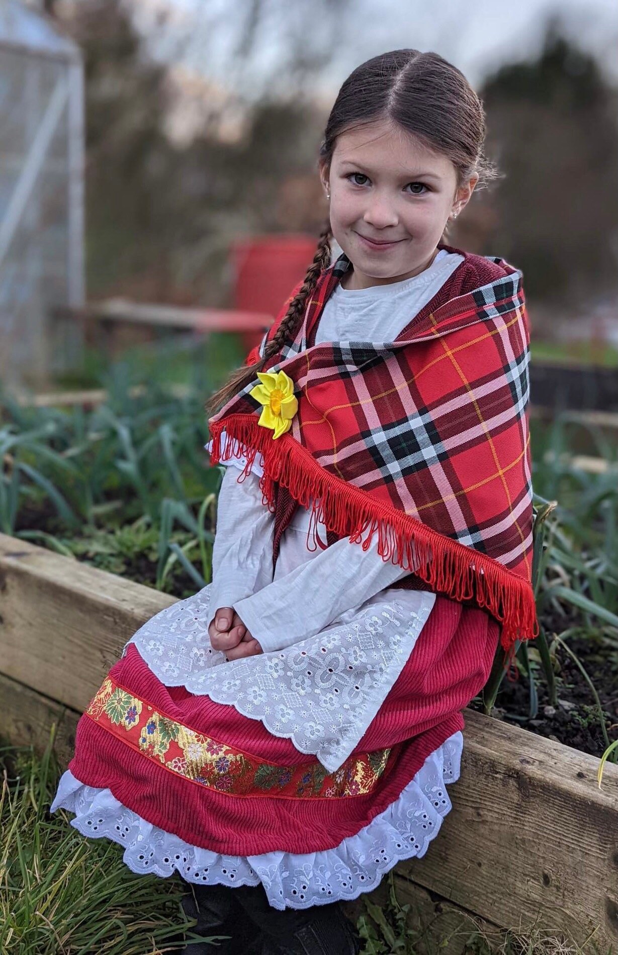 Traditional Style Welsh Lady Costume, St. David's Day - Etsy