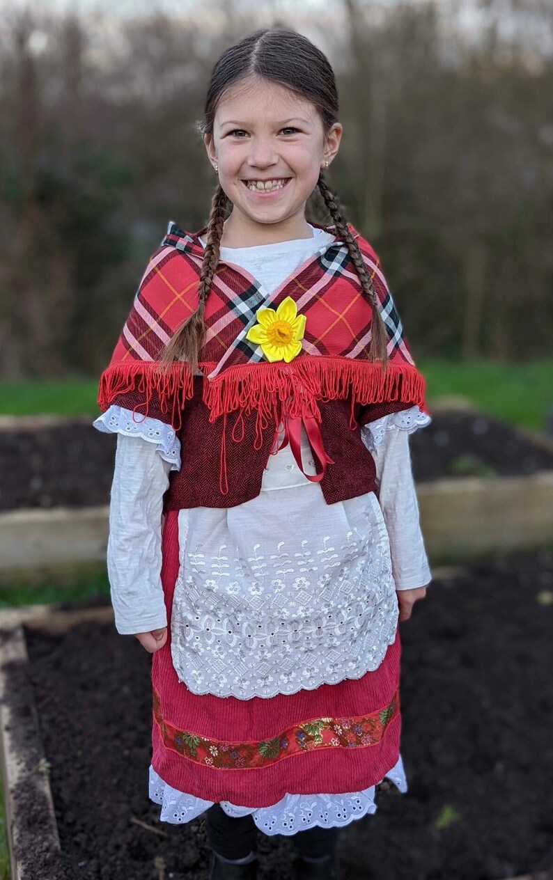Traditional Style Welsh Lady Costume, St. David's Day - Etsy