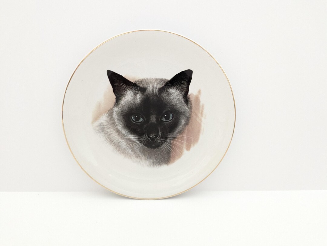 Vintage Black Cat Plate White English Ironstone Wood and Sons Siamese ...
