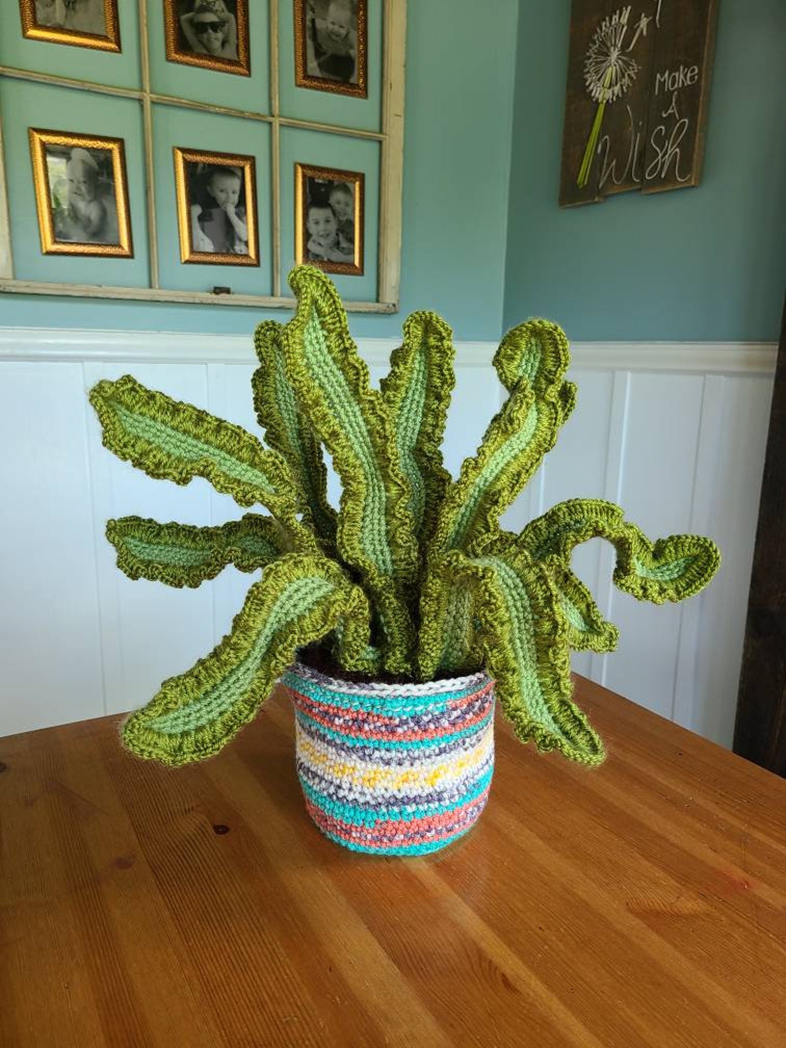 Crochet Houseplant Pattern Snake Plant Crochet Pattern - Etsy