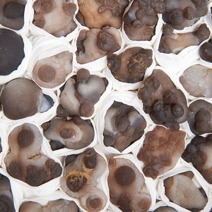 Fantasia Materials: 1 Lb of Bubble Agate Rough (aka Botryoidal ...
