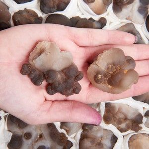 Fantasia Materials: 1 Lb of Bubble Agate Rough (aka Botryoidal ...