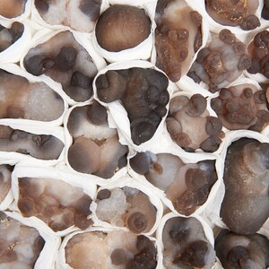 Fantasia Materials: 1 Lb of Bubble Agate Rough (aka Botryoidal ...