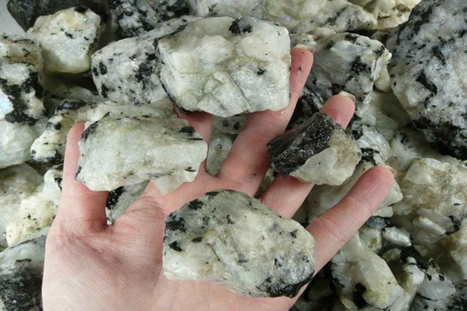 1 lb Rainbow Moonstone Mine Run Cabbing Tumbling Wire | Etsy