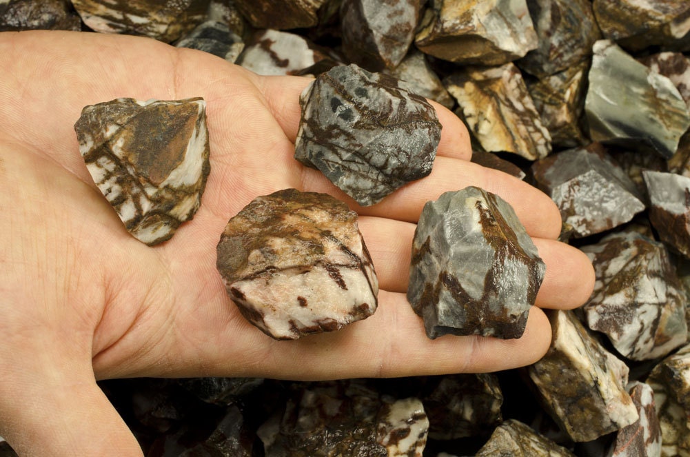 Fantasia Materials: 1 Lb Panther Jasper Rough Raw Natural | Etsy