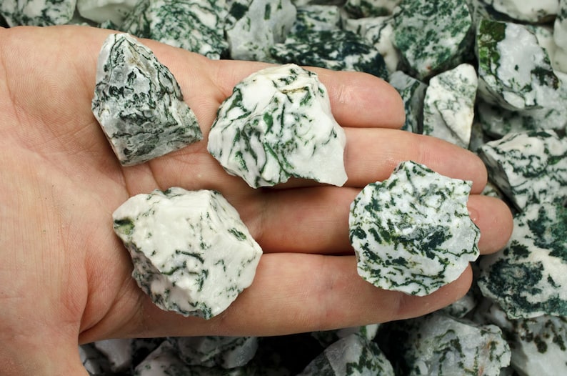 Fantasia Materials: 1 Lb Tree Agate "aa" Grade Rough - Raw Natural ...
