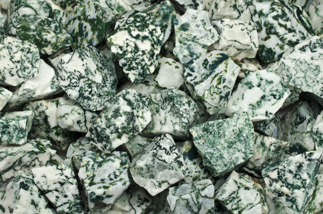 Fantasia Materials: 1 Lb Tree Agate "aa" Grade Rough - Raw Natural ...