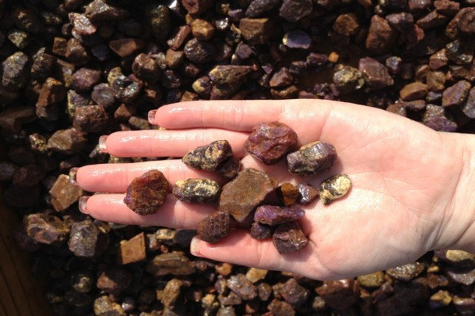 Sapphire and Ruby 'AA' Grade Cabbing Tumbling - Etsy