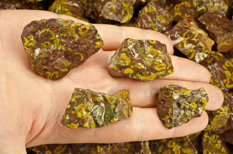 Fantasia Materials: 1 Lb Leopard Jasper Rough Raw Natural - Etsy