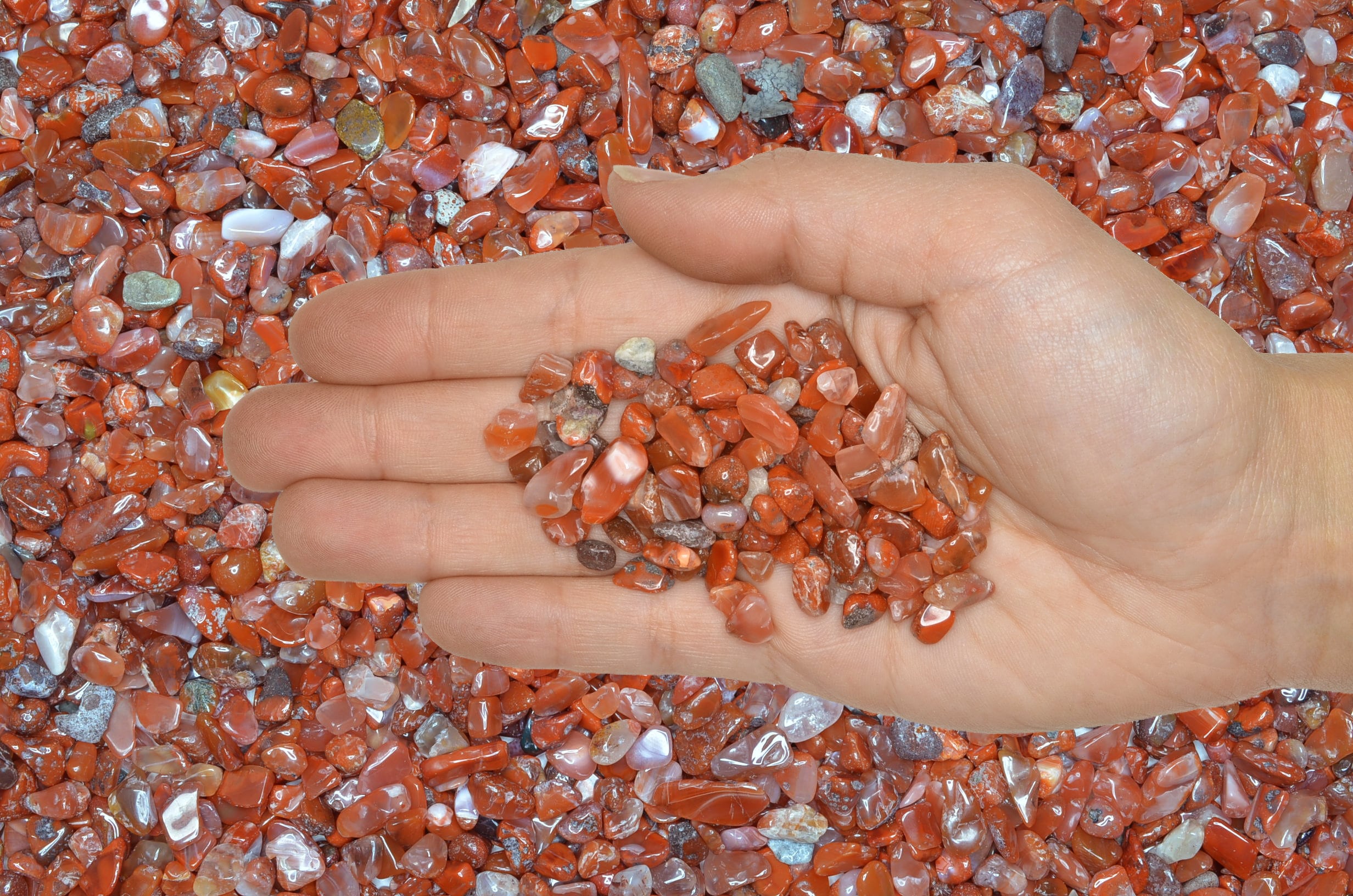 Fantasia Materials: 1/2 Lb of Tumbled South Redstone Chip Size Stones ...