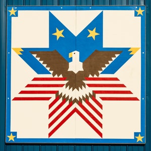 Eagle Paper Printed Barn Quilt Pattern (sizes) - Etsy