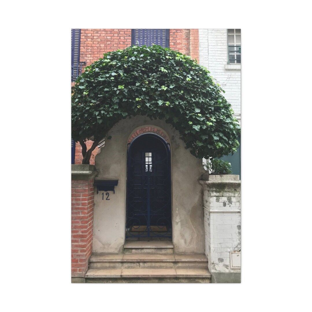 Tree Covered, Gated Arched Doorway in Paris - Architectural Photograph ...