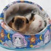 Make Your Own Guinea Pig Slipper Snug: Digital Sewing Pattern and ...