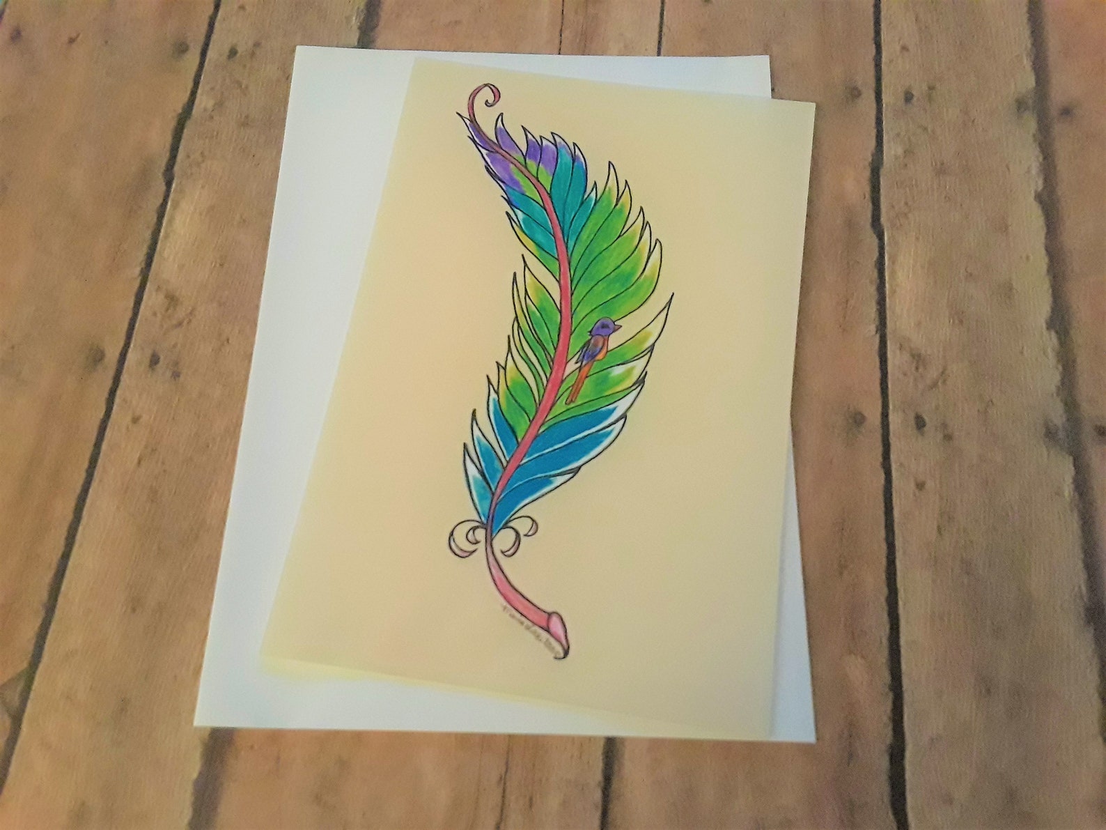 Bird / Colorful Feather /greeting Card / Cards Include - Etsy
