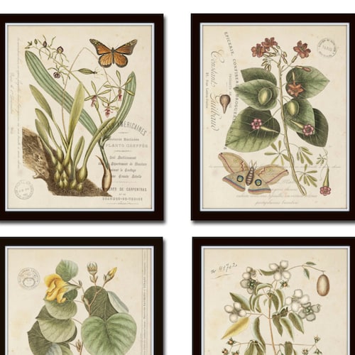 Vintage Butterfly and Botanical Collage Print Set No.1 - Etsy