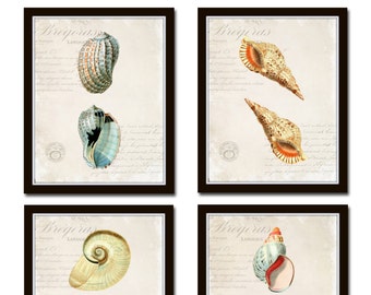 Seashell Art Print Collage Illustration - Etsy