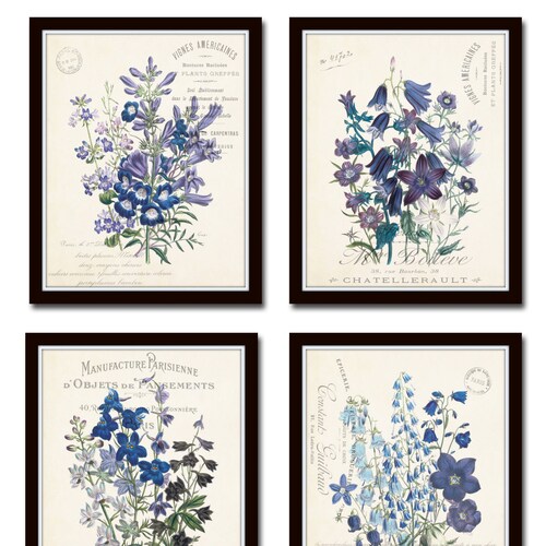 French Botanical Collage Print Set No. 2 Botanical Print - Etsy