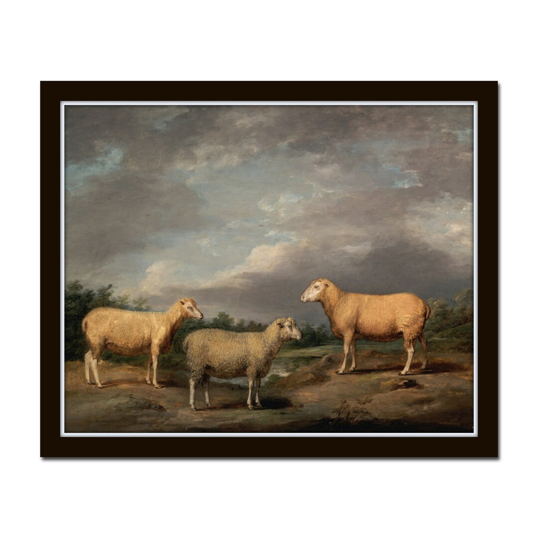 Sheep in a Meadow Print, Giclee, Home Decor, Wall Art, Sheep Print ...